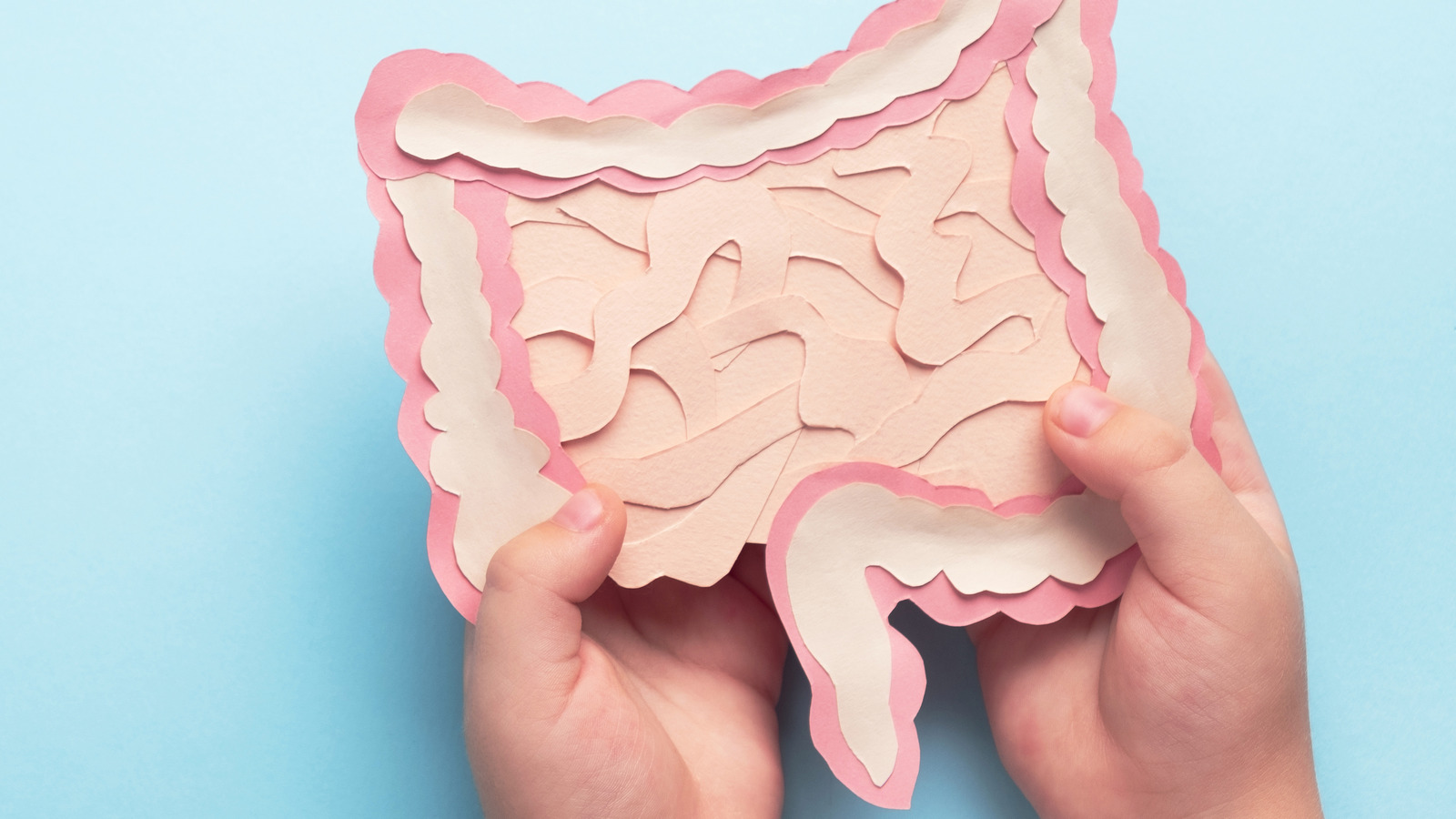 12 Foods To Eat For A Healthier Colon