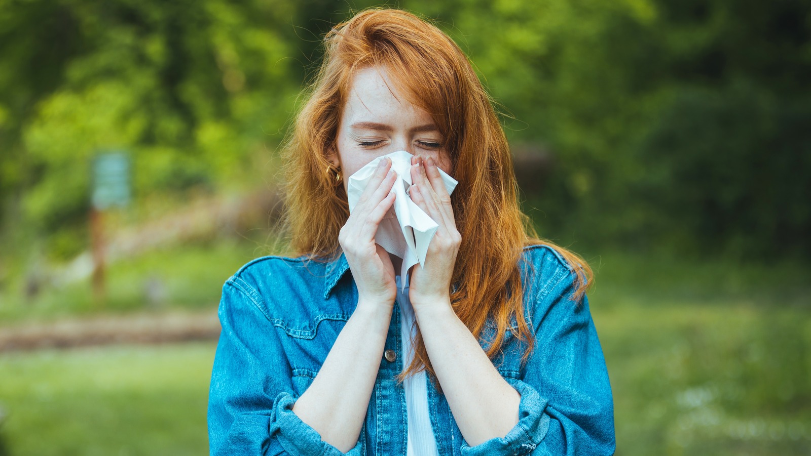 Allegra Explained: Usage, Dosage, And Side Effects
