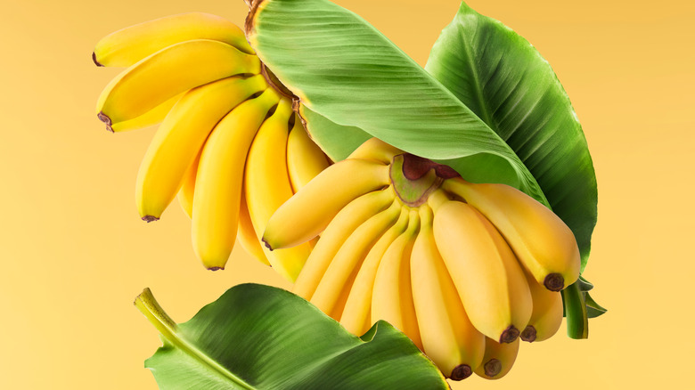 Are Bananas Good For People With Diabetes 
