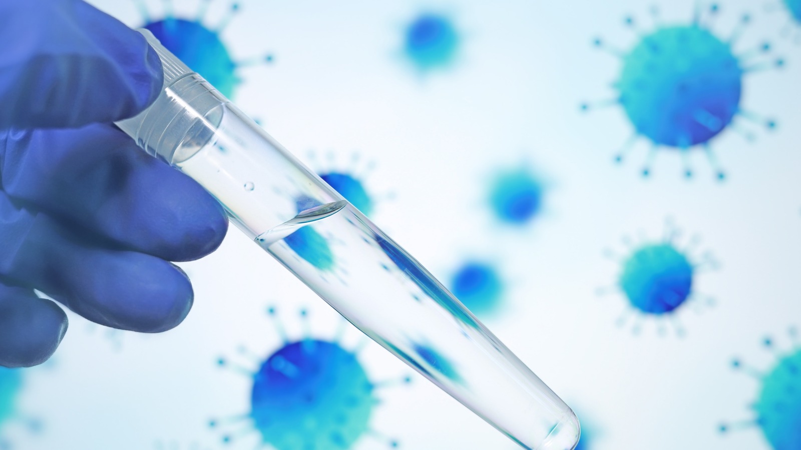 Can E Coli Be Contagious Can E Coli Be Contagious