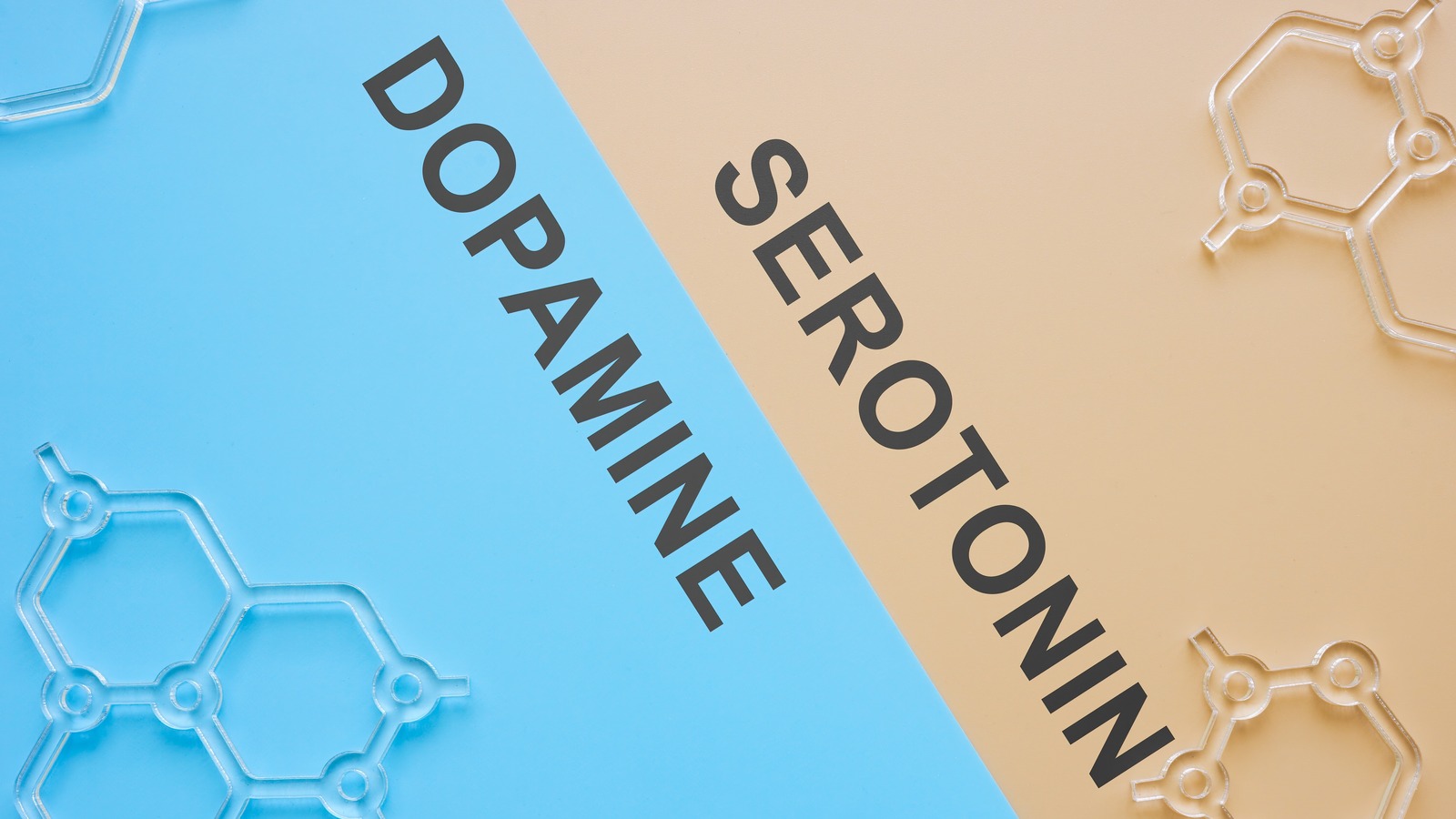 Can You Boost Your Dopamine And Serotonin With Food?