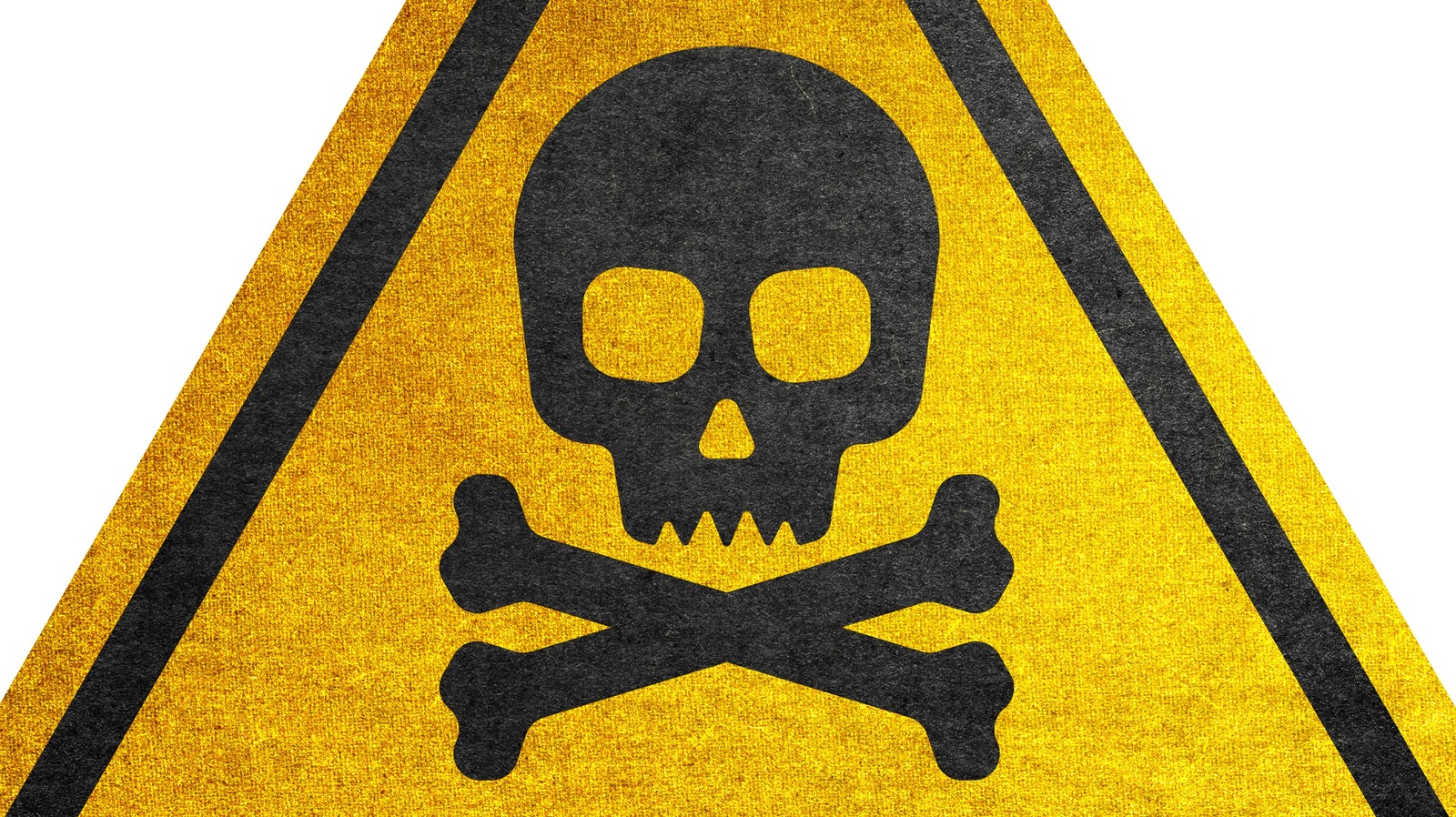 Common Foods That You Didn t Know Can Be Toxic Common Foods That You Didn t Know Can Be Toxic