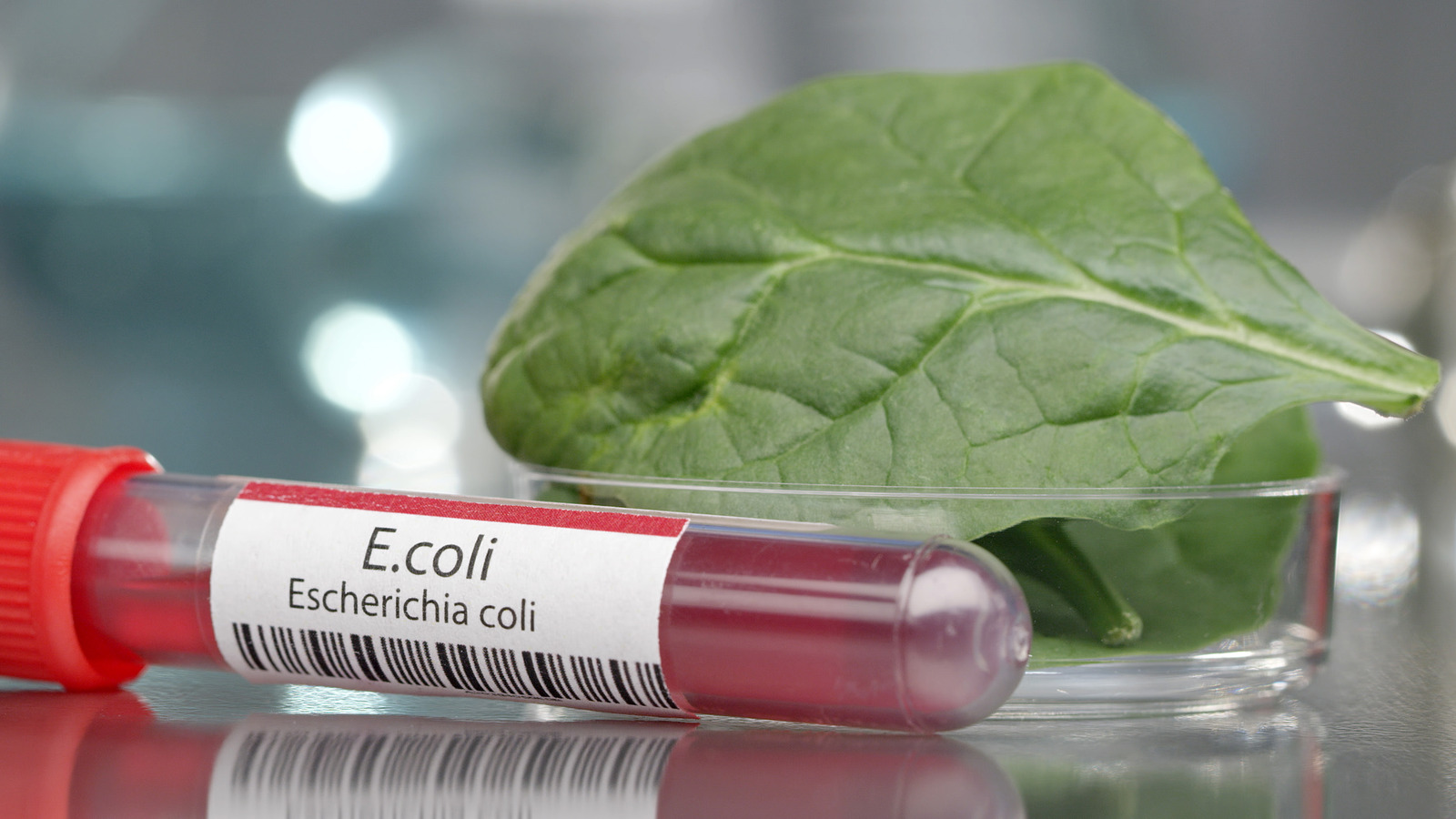 Here's How You Can Prevent E. Coli