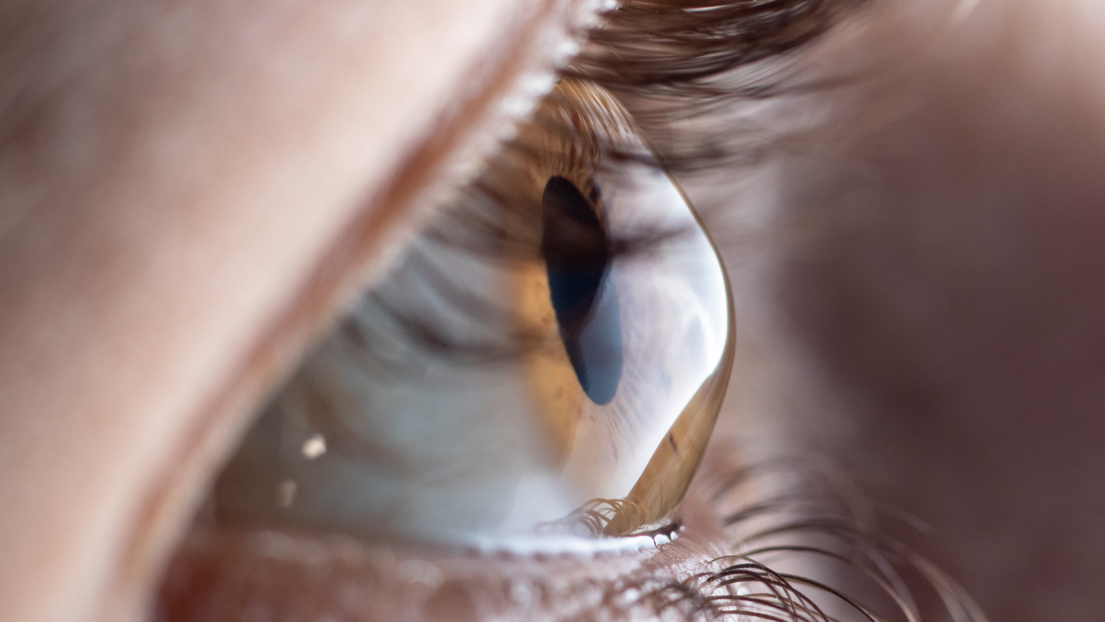 The Side Effects Of Losing Your Eye Sight The Side Effects Of Losing Your Eye Sight