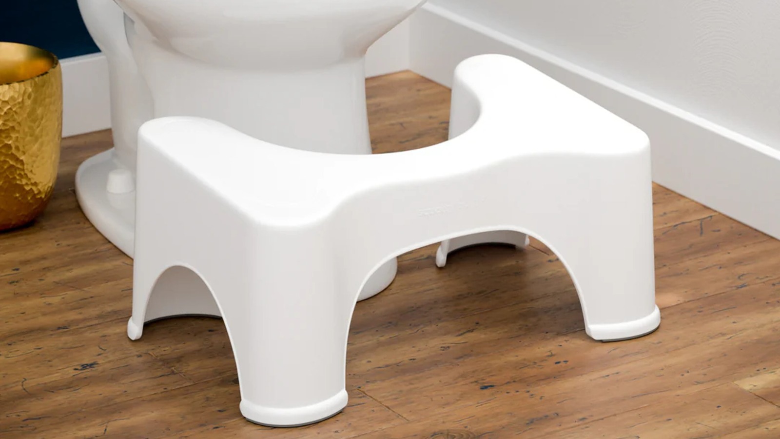 Where Is Squatty Potty From Shark Tank Season 6 Today?