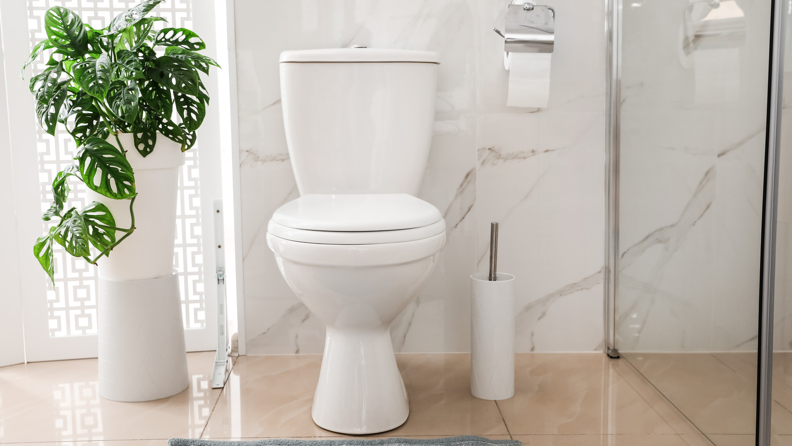 Why Does Fiber Make You Poop?